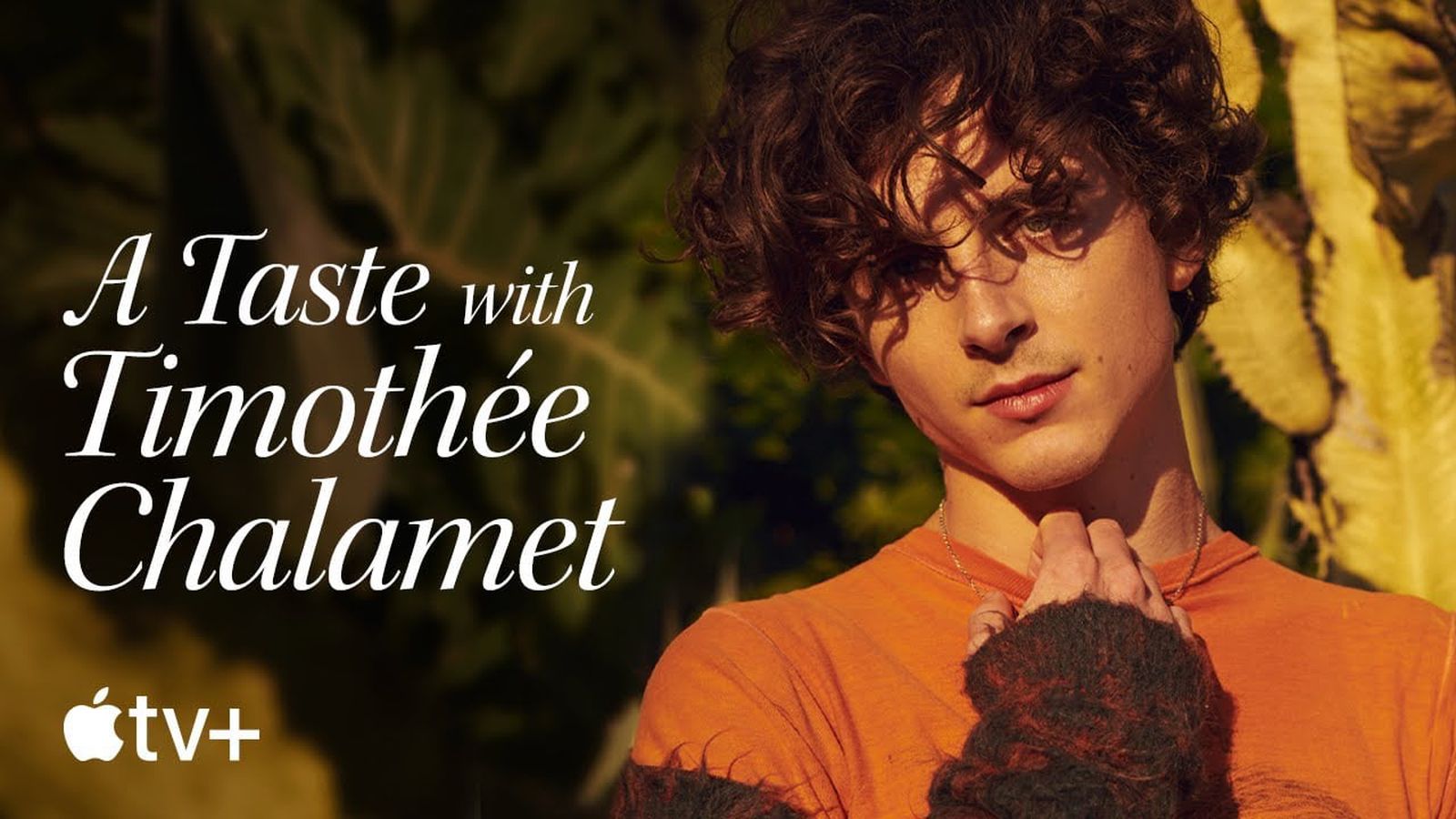 Timothée Chalamet elogia o gosto da Apple em campanha publicitária na ...